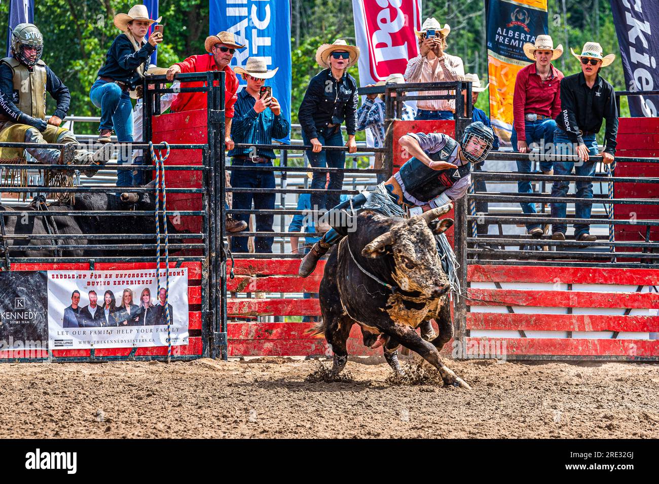 Riding ram hi-res stock photography and images - Alamy