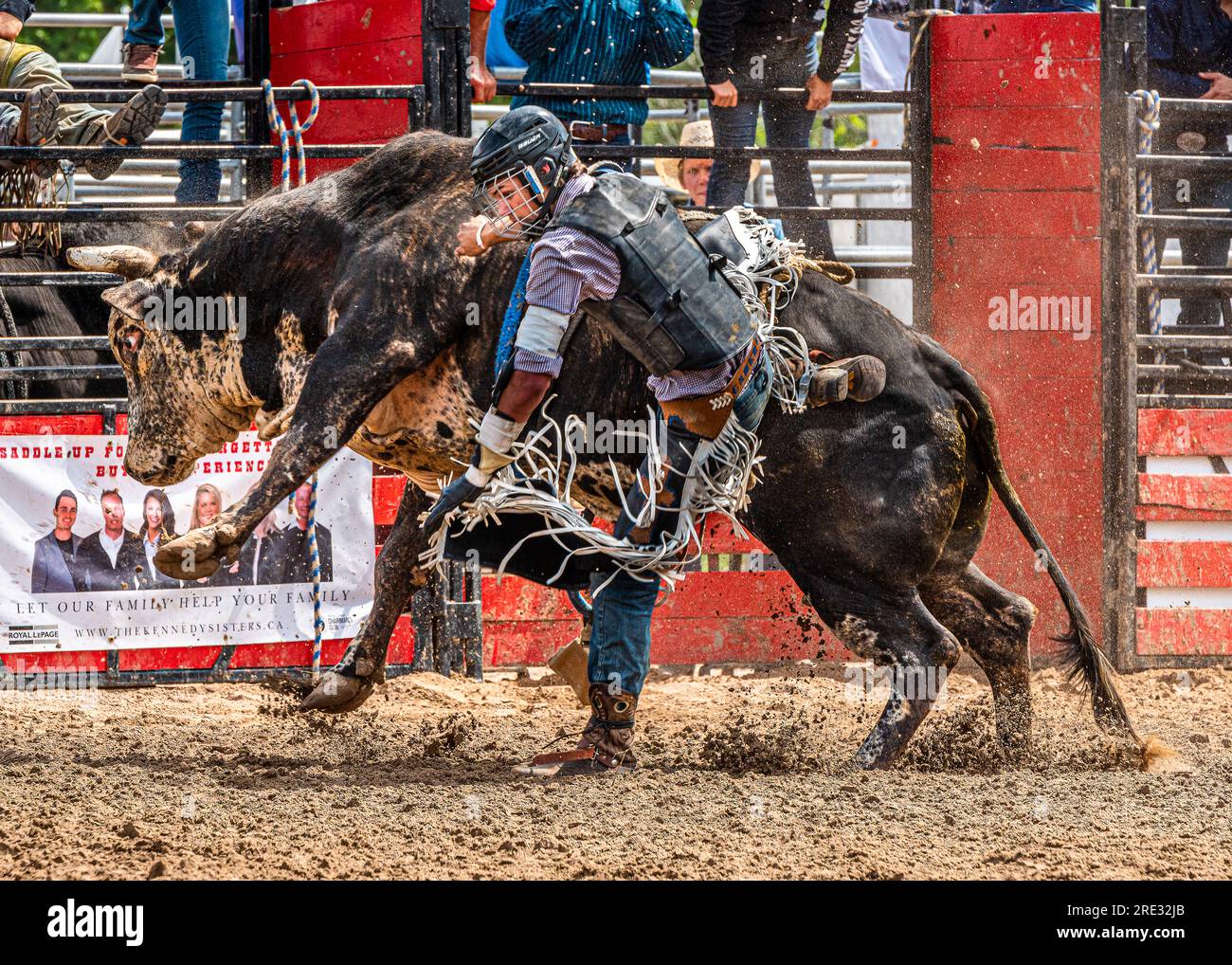 Erin ram rodeo hi-res stock photography and images - Alamy