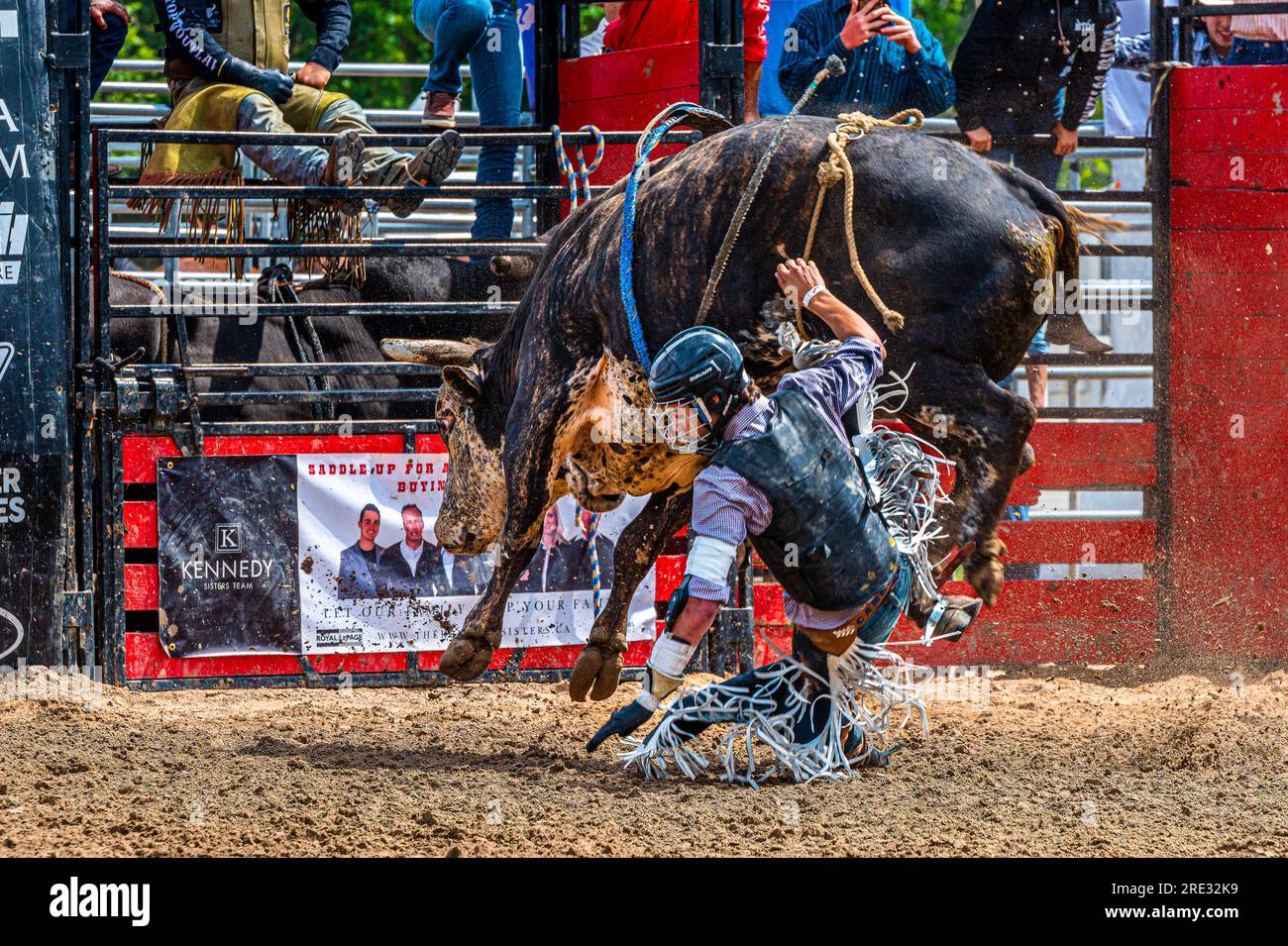 Erin ram rodeo hi-res stock photography and images - Alamy