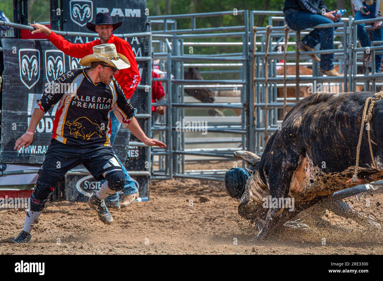 Erin ram rodeo on july 22 23 hi-res stock photography and images - Alamy
