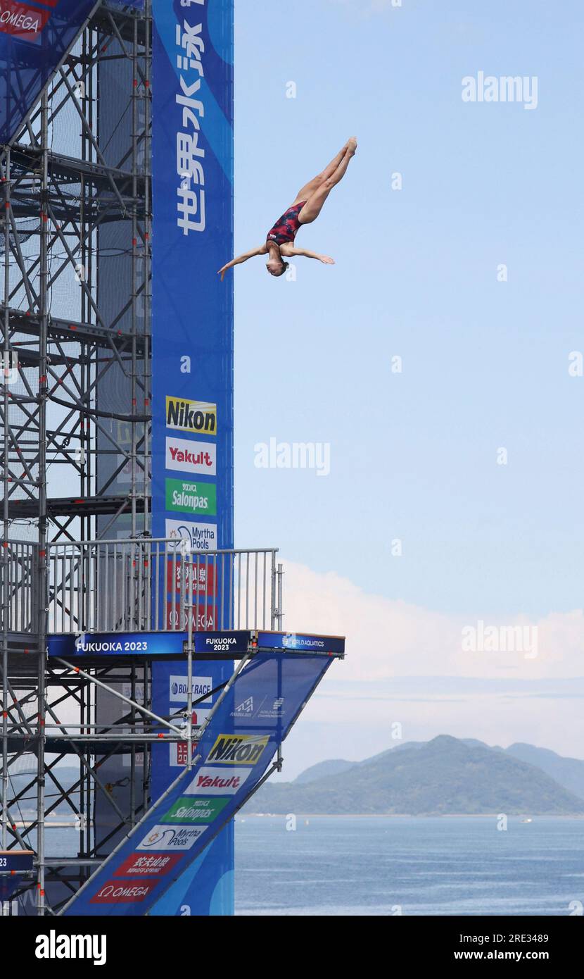 Highest Diving Board In The World