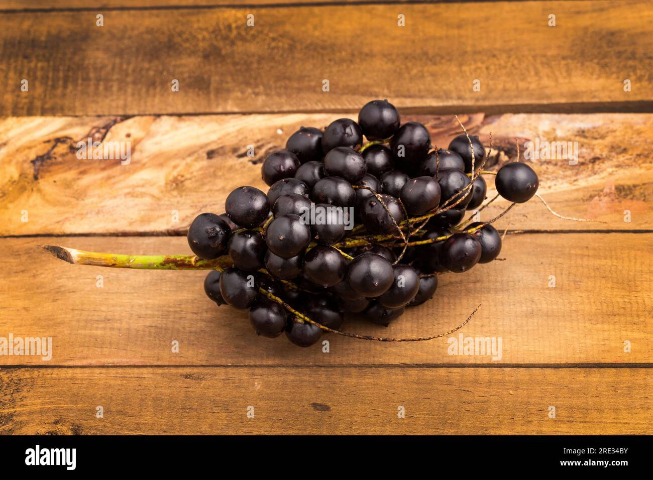 Organic amazonian acai berries - Euterpe oleracea Stock Photo - Alamy