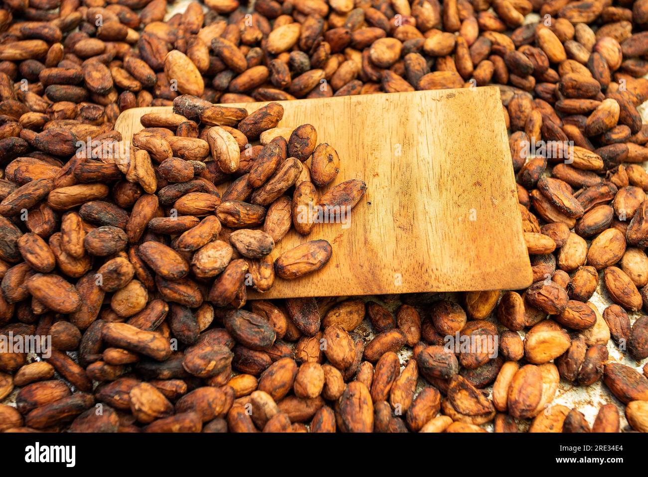 Cocoa drying hi-res stock photography and images - Alamy