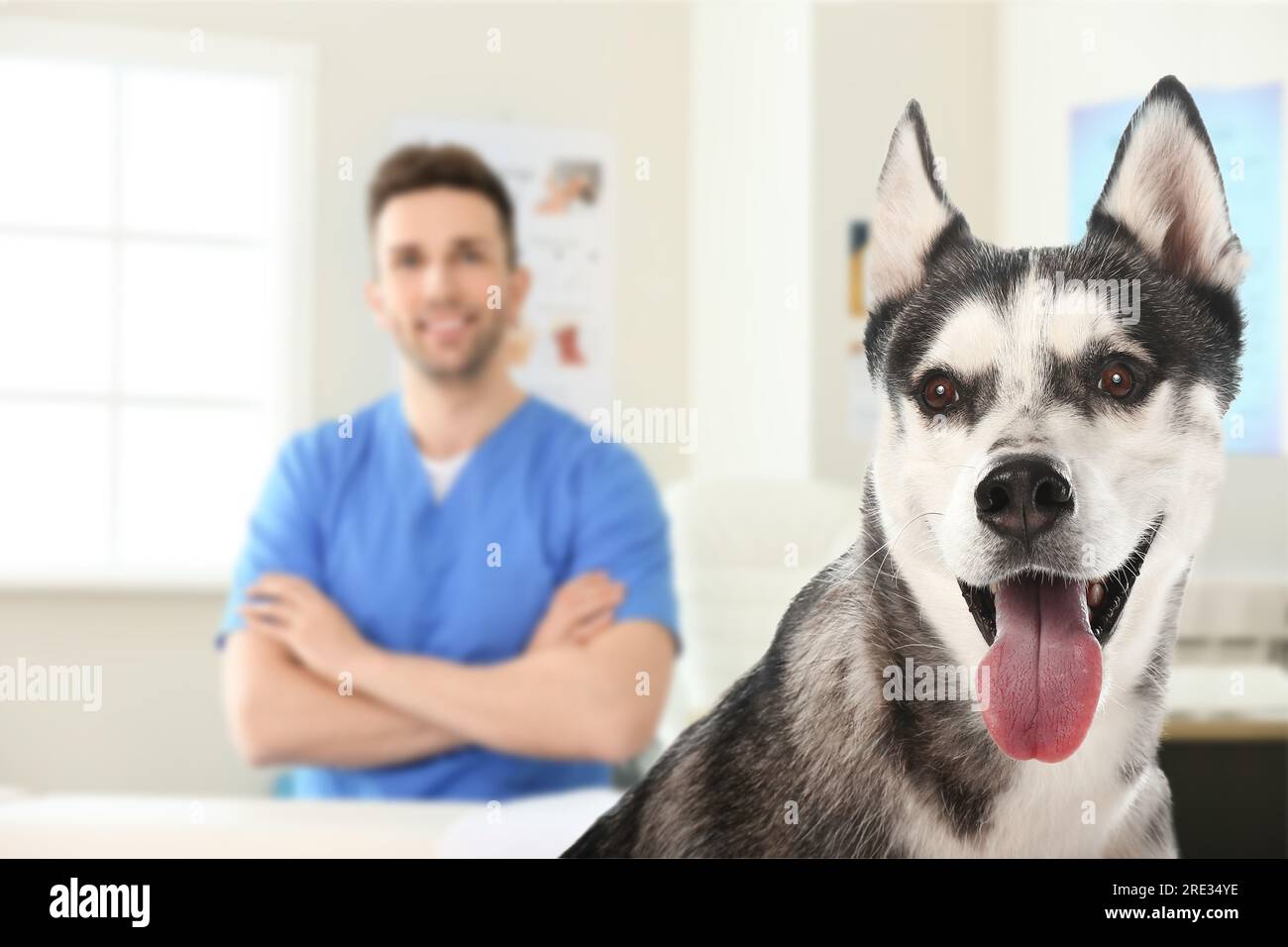 Veterinary manual hi-res stock photography and images - Alamy