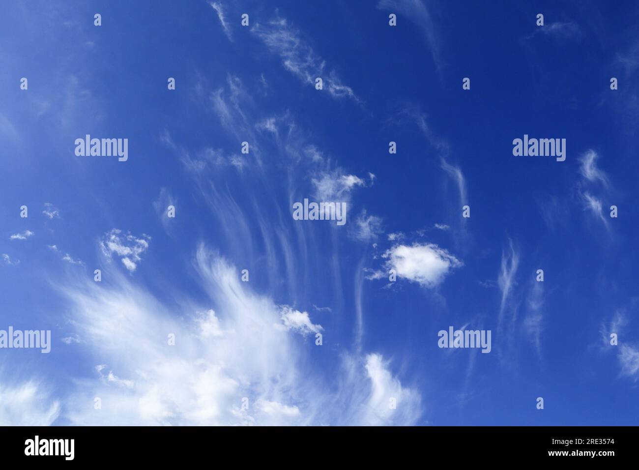 Beautiful graceful cirrus white clouds of various shapes float across ...