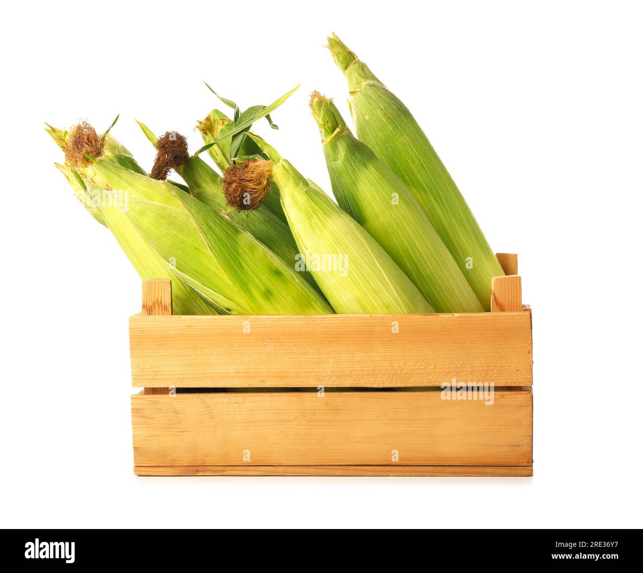Wooden box with fresh corn cobs on white background Stock Photo - Alamy