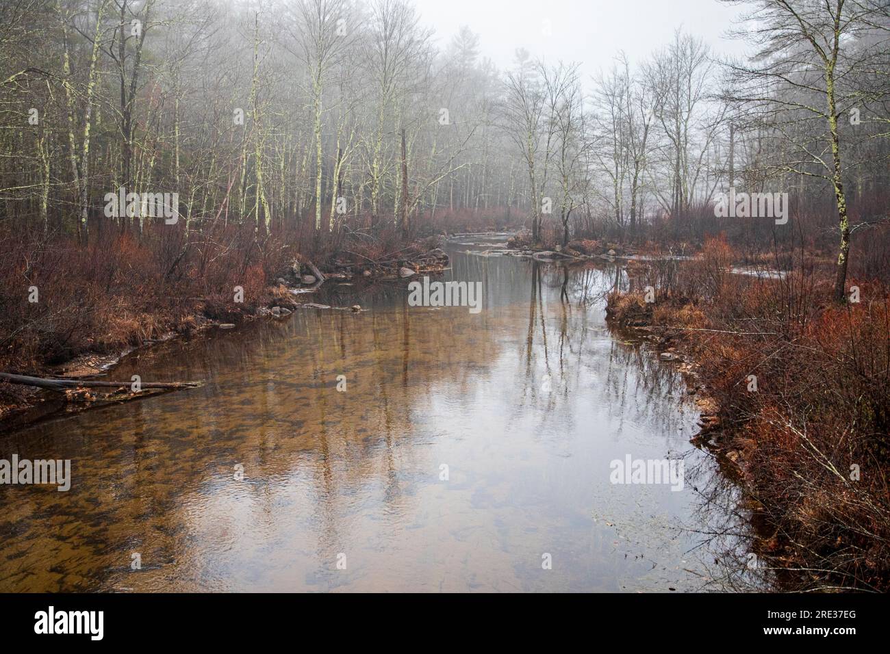 A foggy morning at the Tully River in Royalston, MA Stock Photo - Alamy