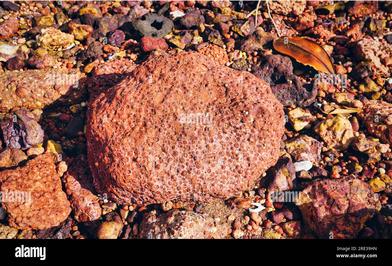 Closeup aluminum ore bauxite hi-res stock photography and images - Alamy
