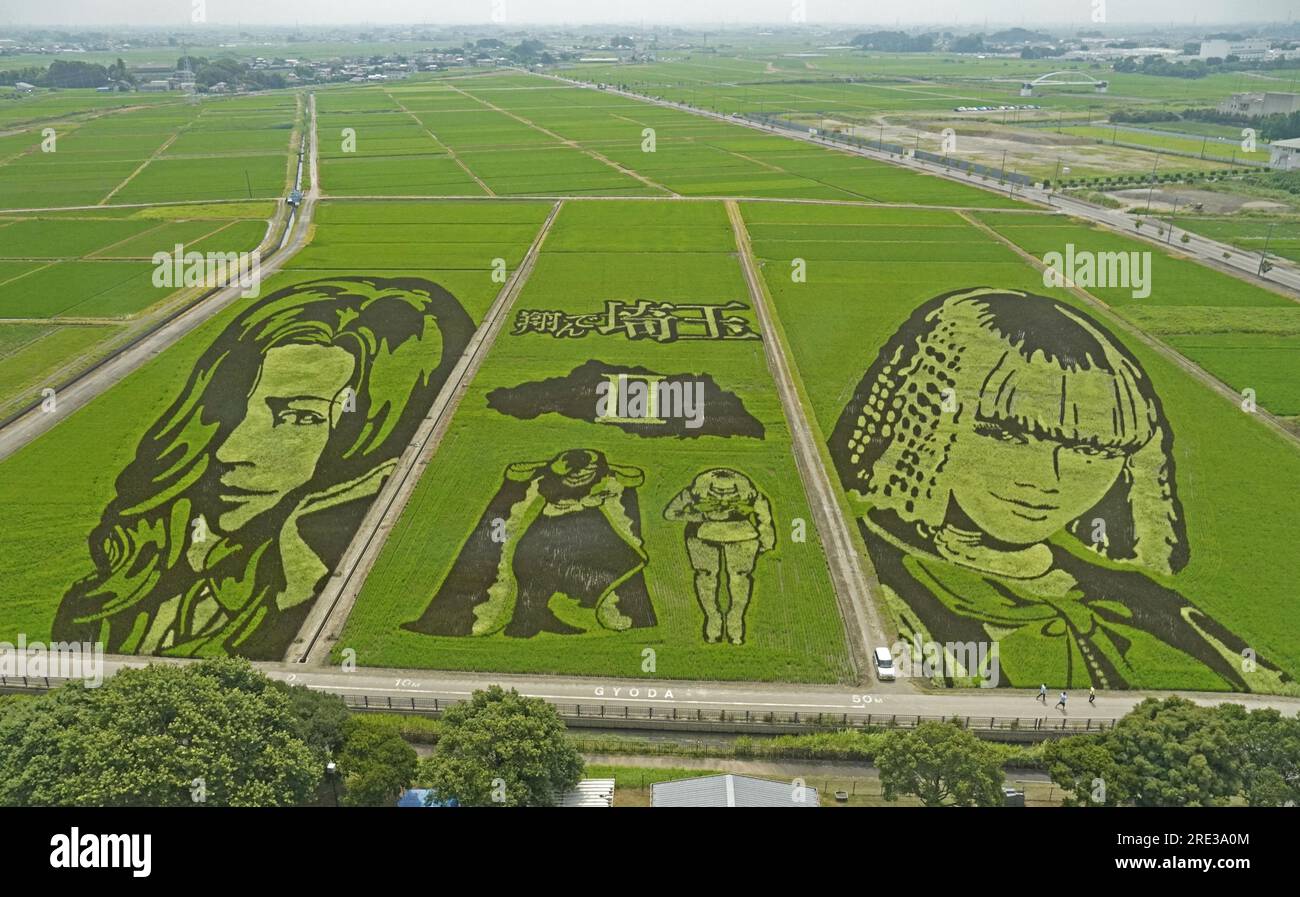 Photo taken on July 19, 2023, shows rice paddy art depicting characters ...