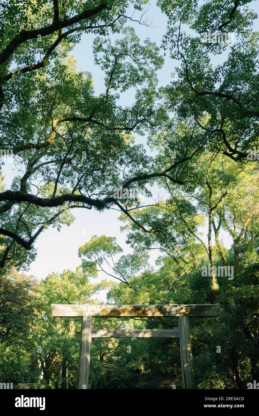 Atsuta Shrine Torii gate with green forest in Nagoya, Japan Stock Photo ...