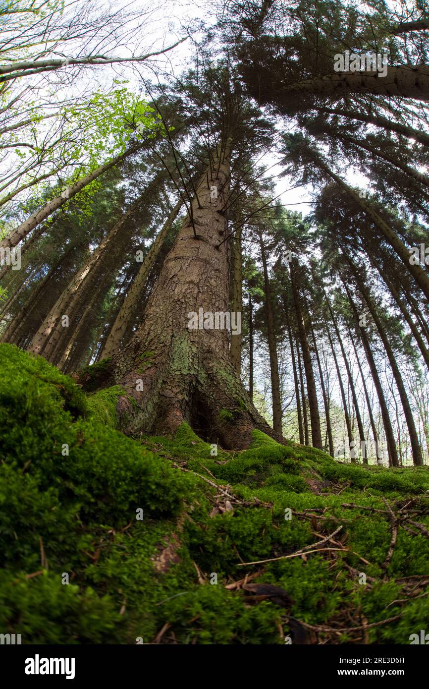 Wideangle fisheye lens hi-res stock photography and images - Alamy