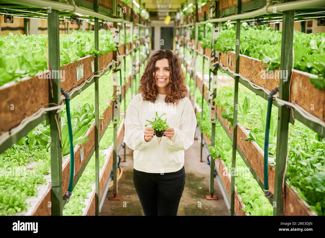 Joyful young woman looking at camera and smiling while holding pot with ...