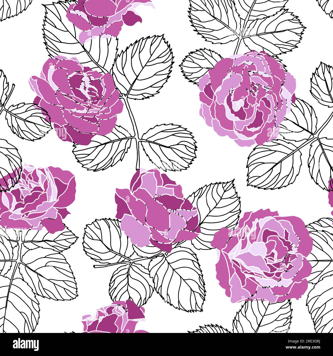 Pink flowers in bloom, flora and botany in color and leaves monochrome ...