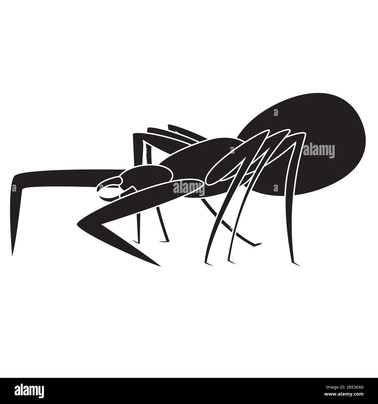 Halloween scary black spider Black and White Stock Photos & Images - Alamy