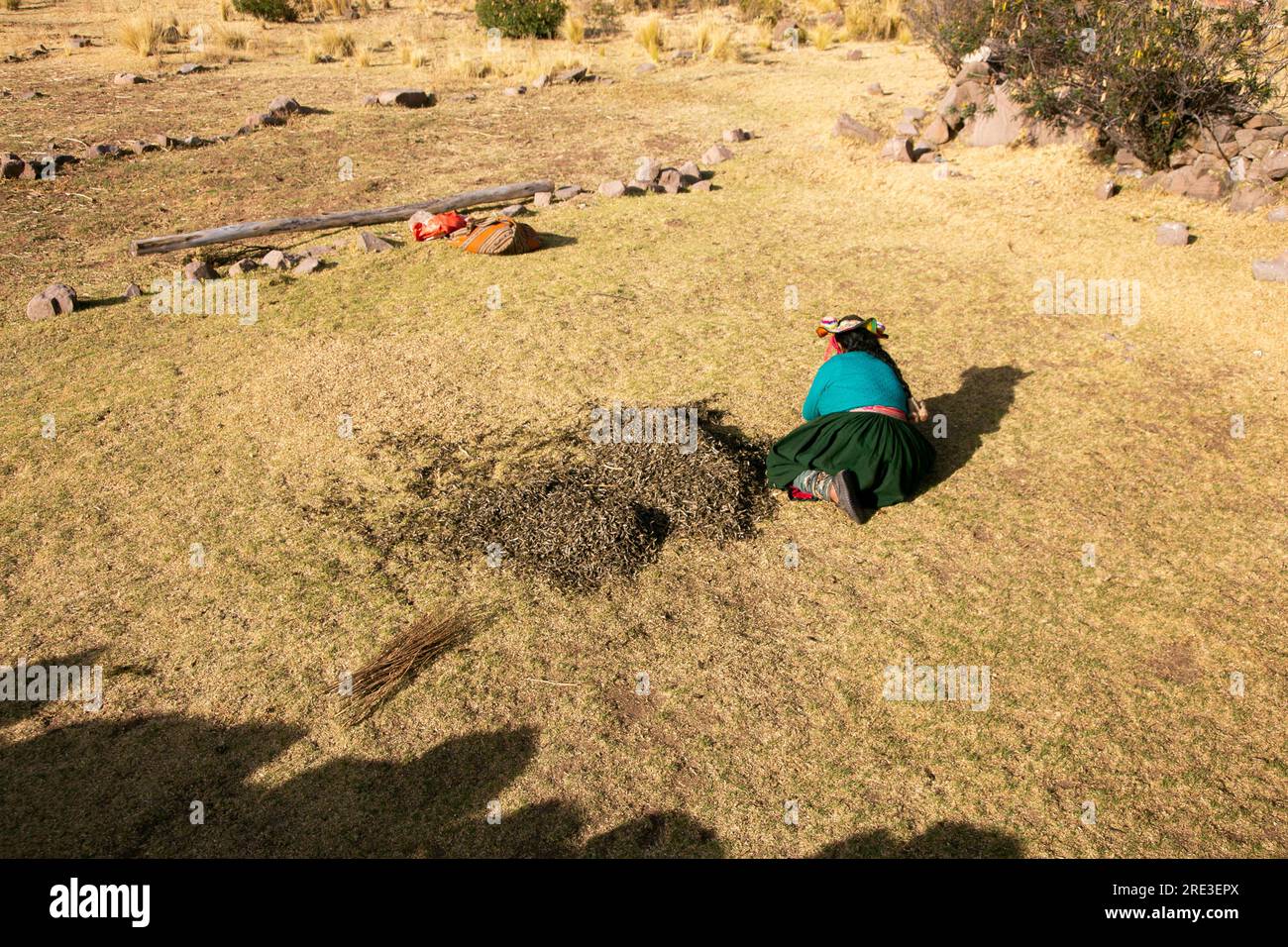 The Ispi is a type of small fish typical of Lake Titicaca, they are ...