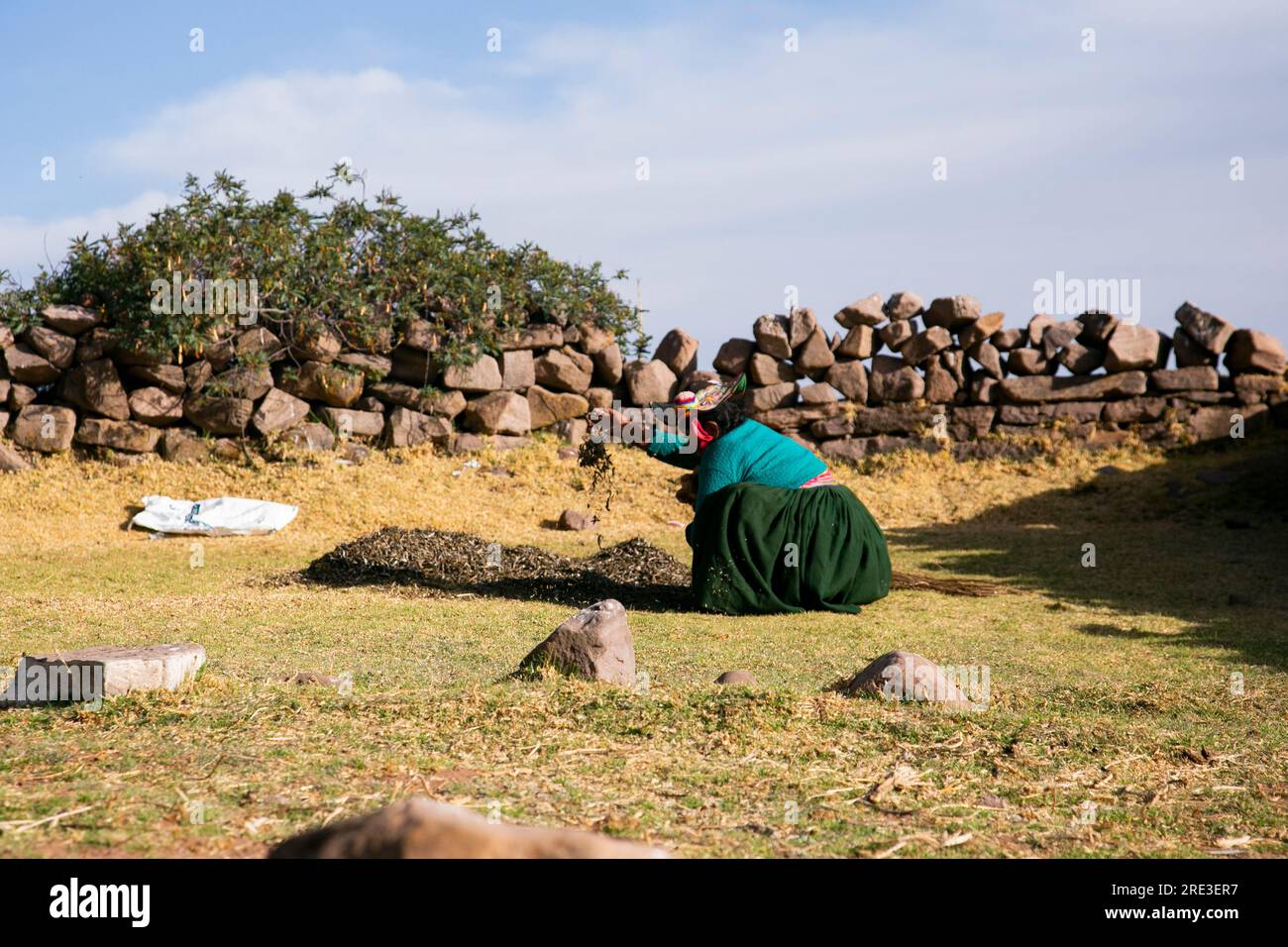 The Ispi is a type of small fish typical of Lake Titicaca, they are ...