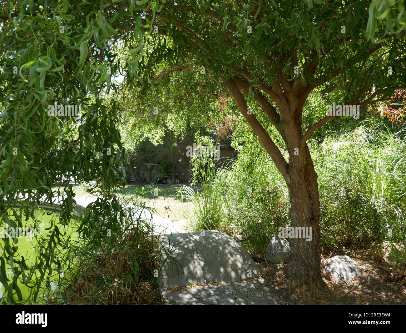 Beverly Hills, California, USA 28th August 2021 Greystone Mansion ...