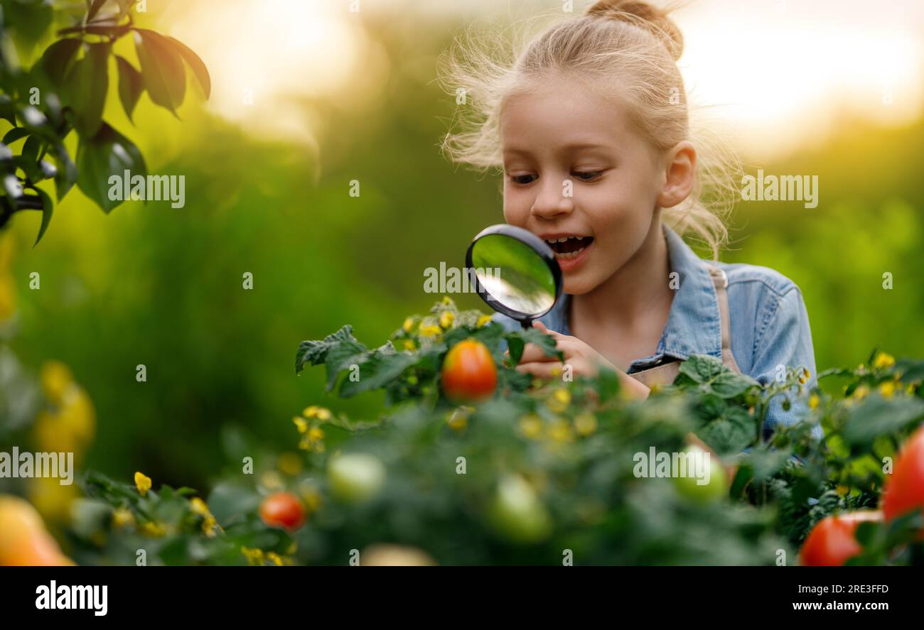 Happy child gardening in the backyard. Kid learning botany Stock Photo - Alamy