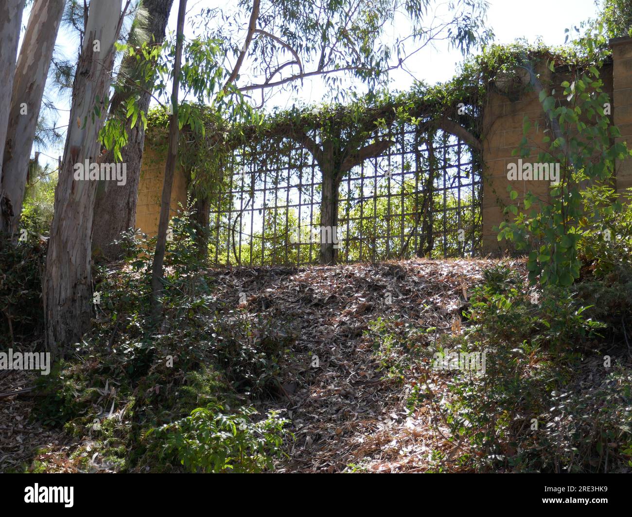 Beverly Hills, California, USA 28th August 2021 Greystone Mansion ...