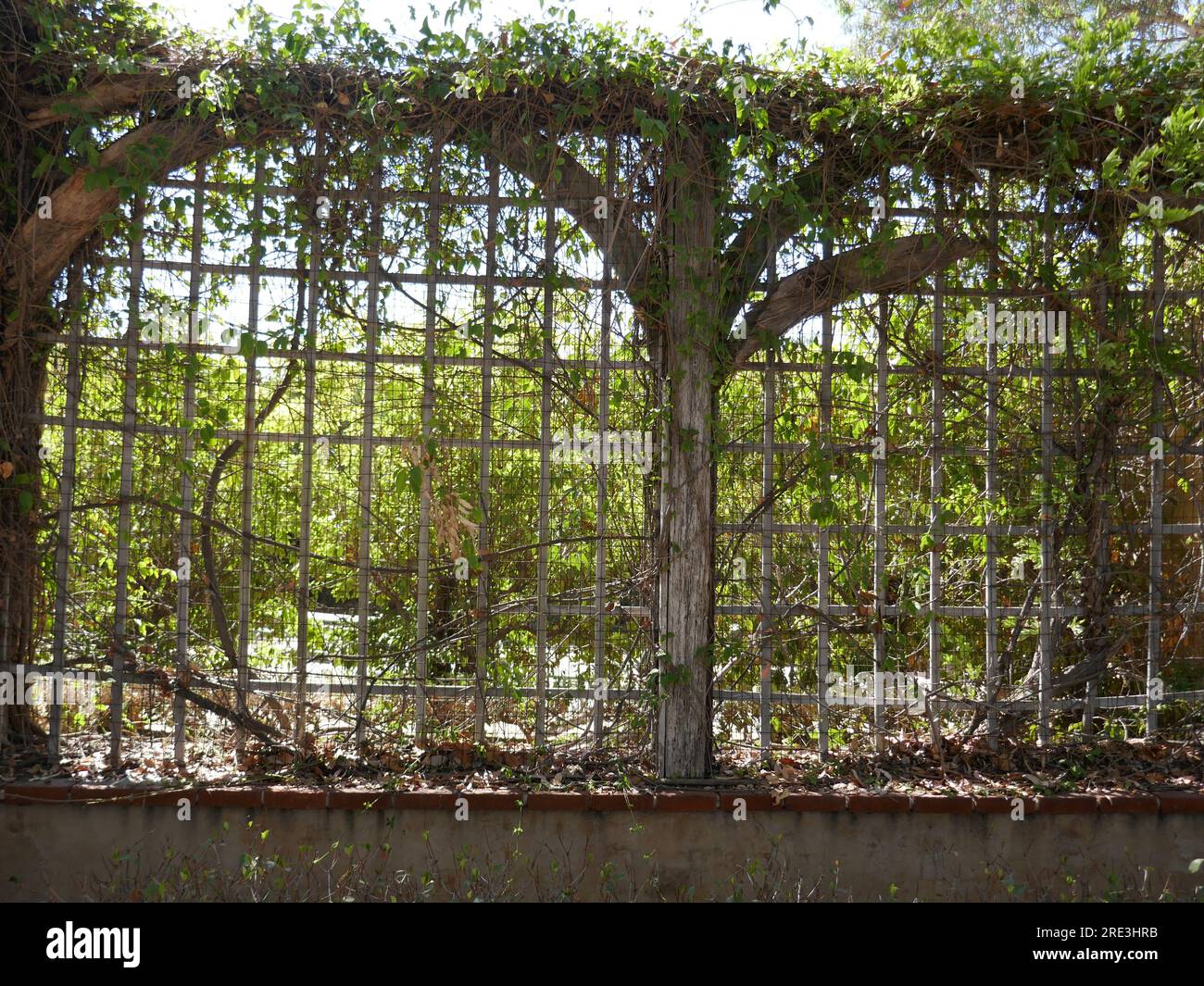 Beverly Hills, California, USA 28th August 2021 Greystone Mansion ...