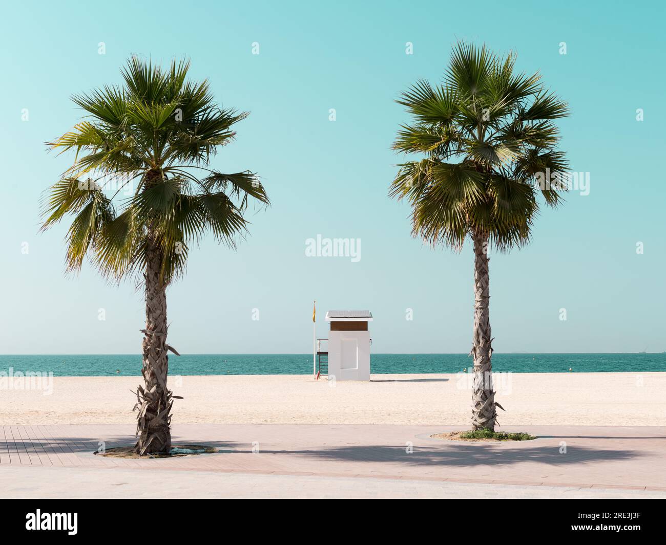 Two Palm Trees On The Beach In Dubai Stock Photo - Alamy