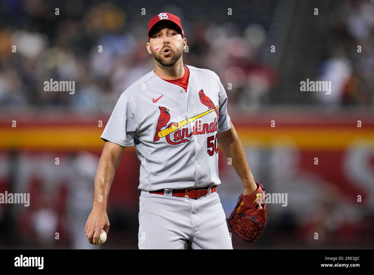St. Louis Cardinals starting pitcher Adam Wainwright spits out his gum ...