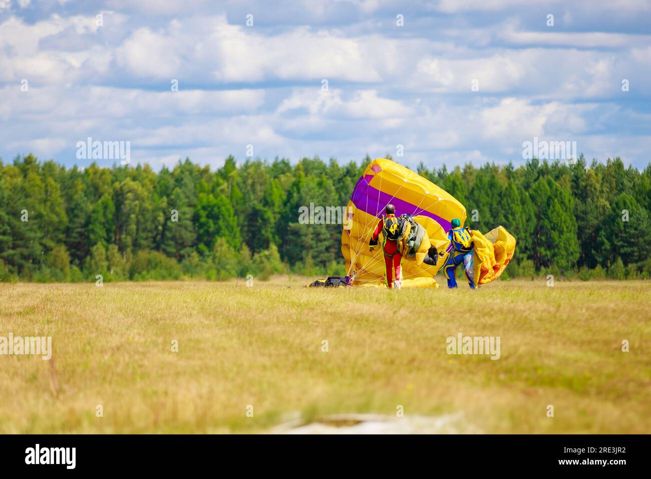 Landing skydivers-athletes with a parachute on the ground. High quality ...