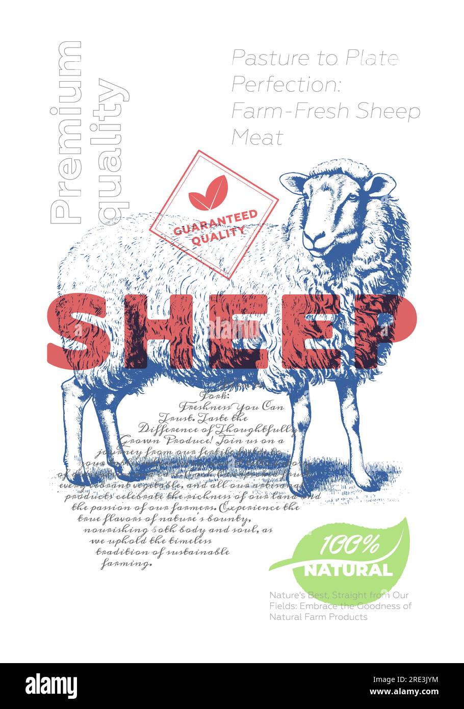 Lamb shop advertising poster with vintage sheep sketch. Butcher market ...