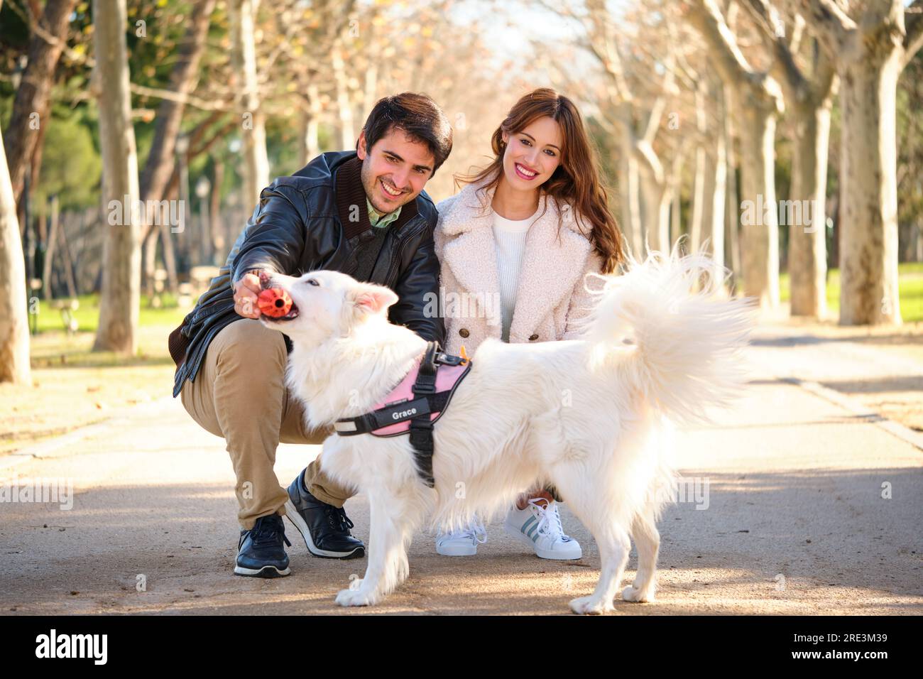 Man and woman playing with dog hi-res stock photography and images - Alamy
