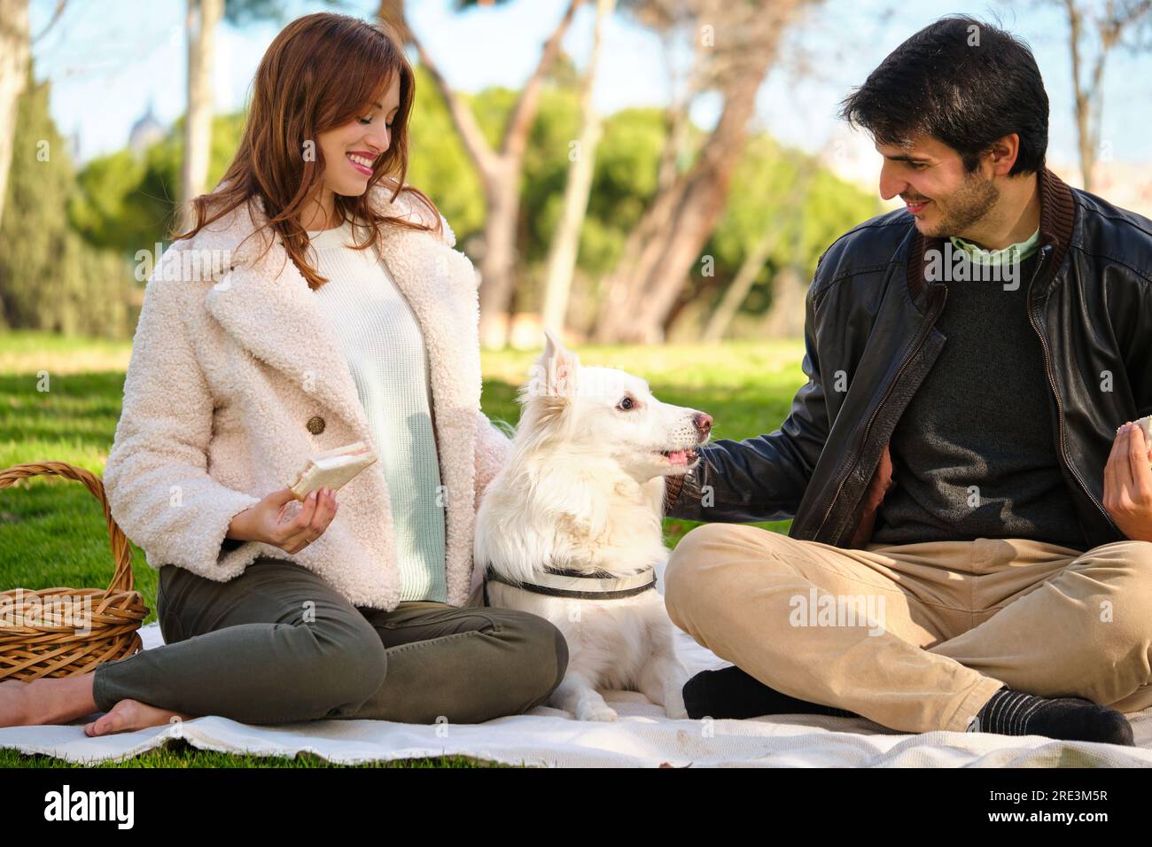 Couple border collie enjoy hi-res stock photography and images - Alamy