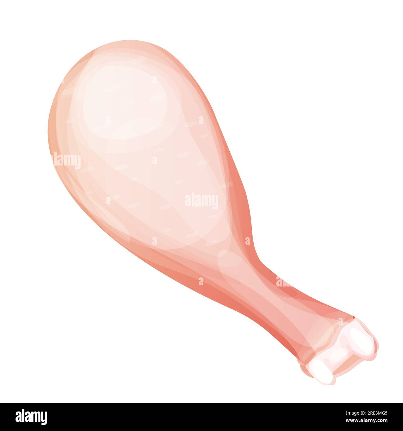 Chicken leg, raw drumstick top view in cartoon style isolated on white ...