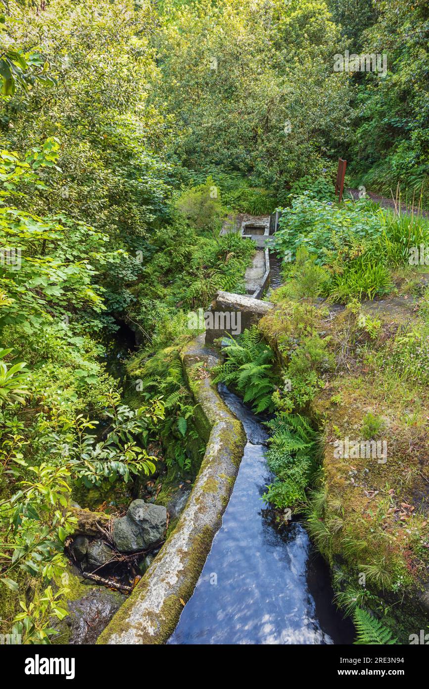 Crossing over de Levada do Furado one of the oldest levadas on the ...