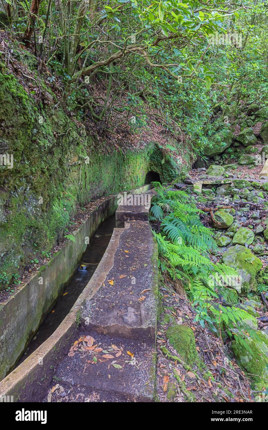 Detailed view forest path mountain hi-res stock photography and images ...