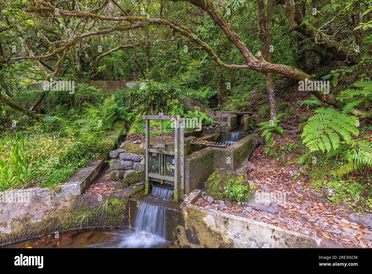 Water regulation on the Levada do Furado one of the oldest levadas on ...
