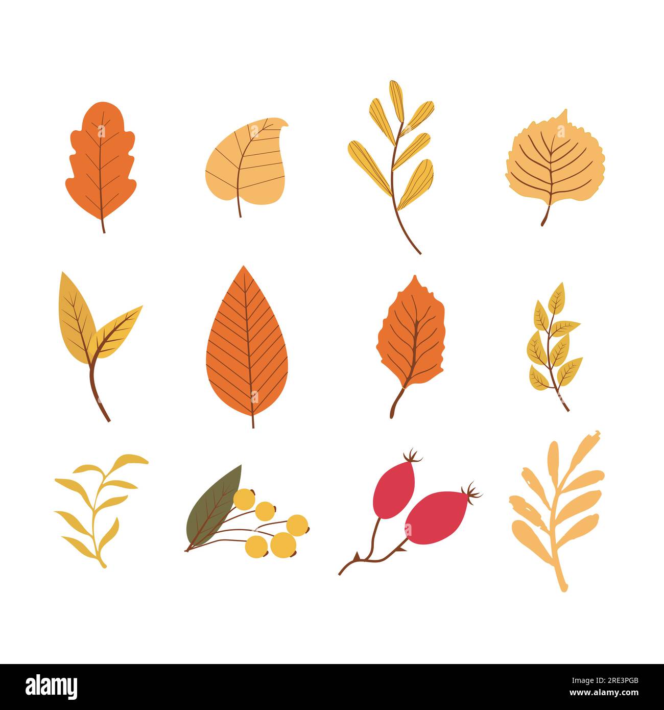 Set autumn tree leaves foliage bright forest decoration in cartoon ...