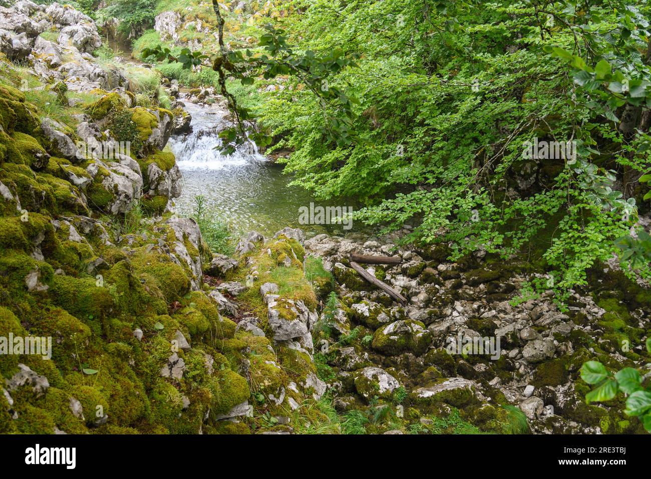 Water drain in a river in Picos de Europa Stock Photo - Alamy