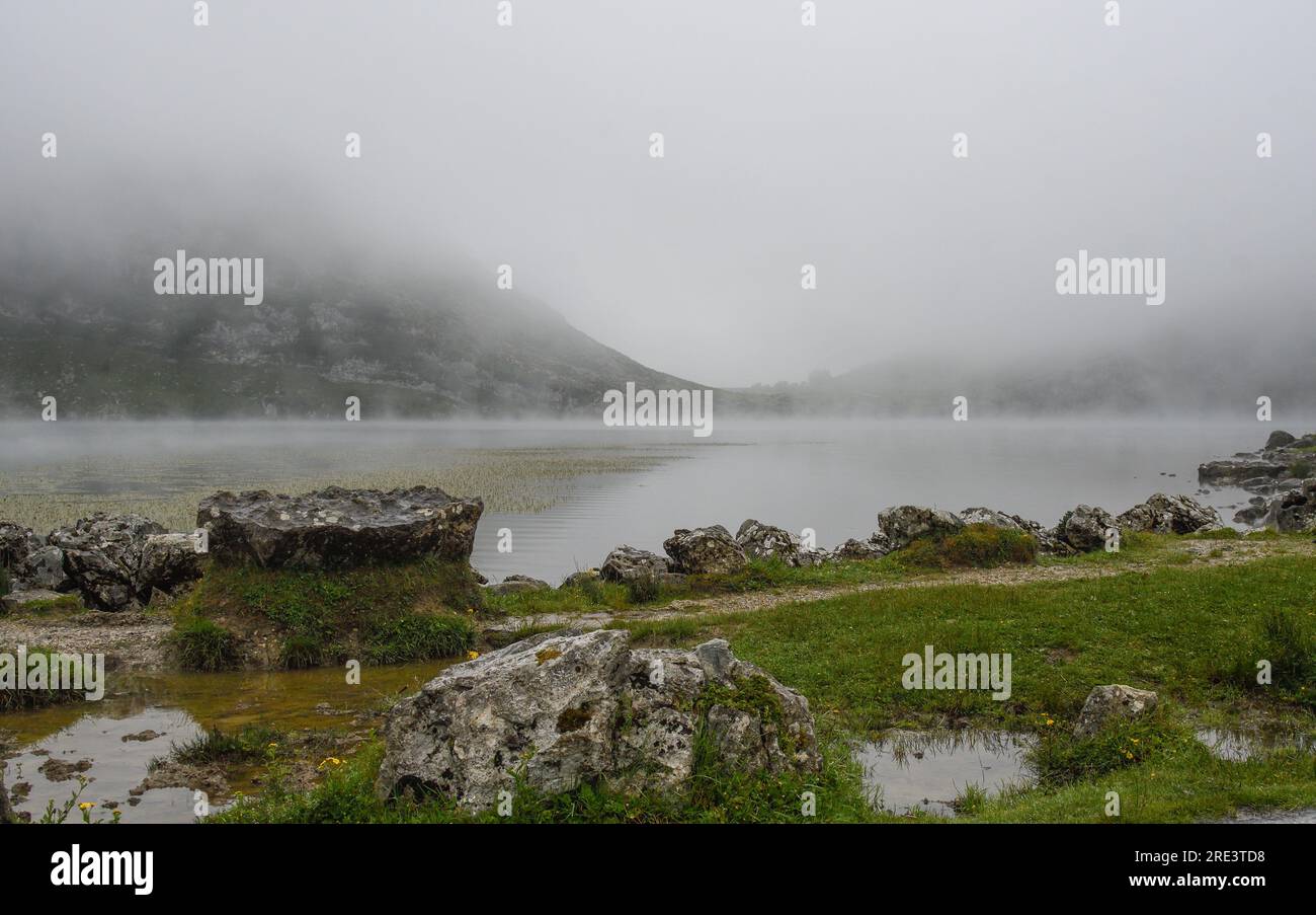 Enol lake between the fog in the lakes of Covadonga Stock Photo - Alamy