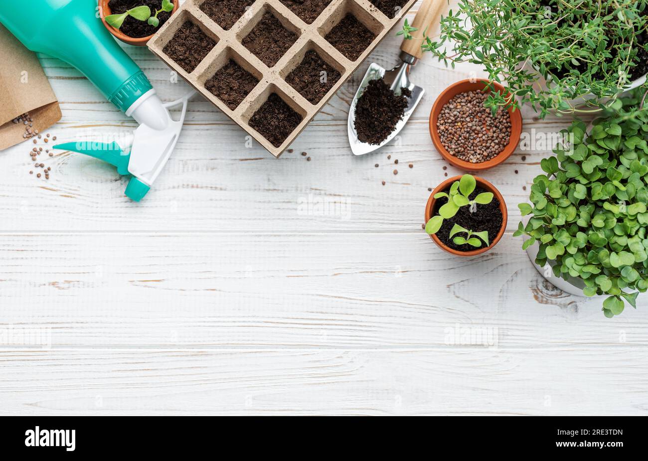 Gardening concept, planting at home. Set of gardening tools and ...