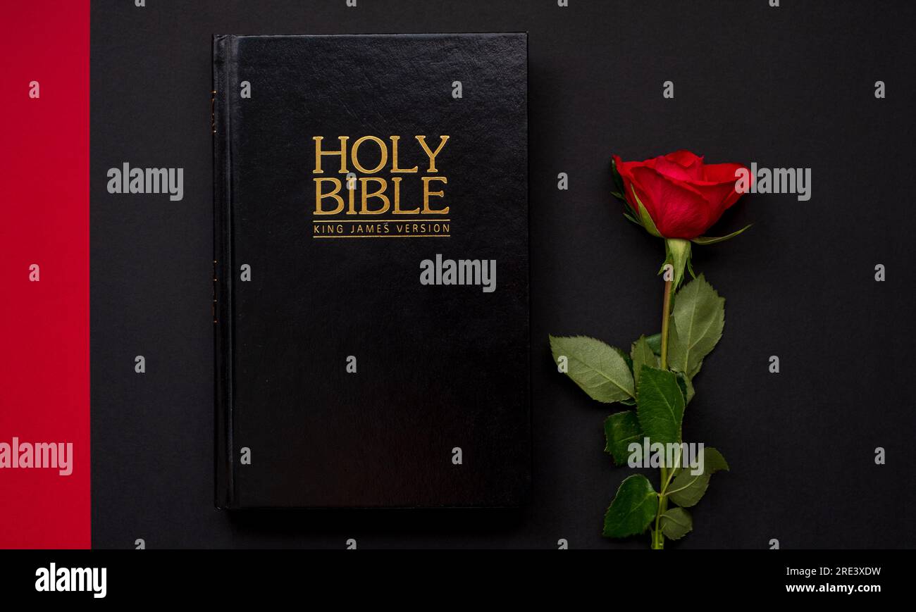 Holy Bible and red rose on the black and red background. Christian ...