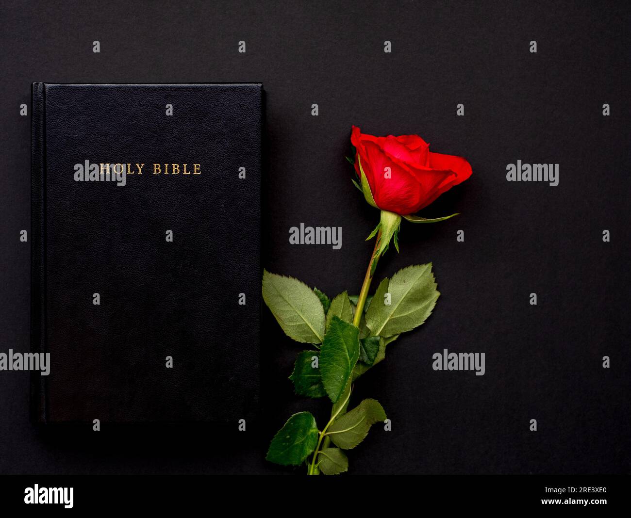 Holy Bible and red roses on the black and red background. Christian ...