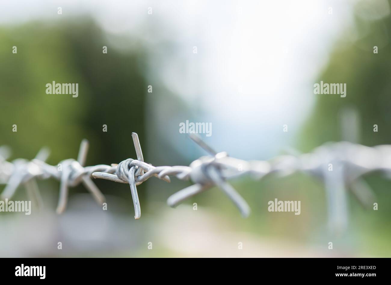 Barbed wire on fence hi-res stock photography and images - Alamy