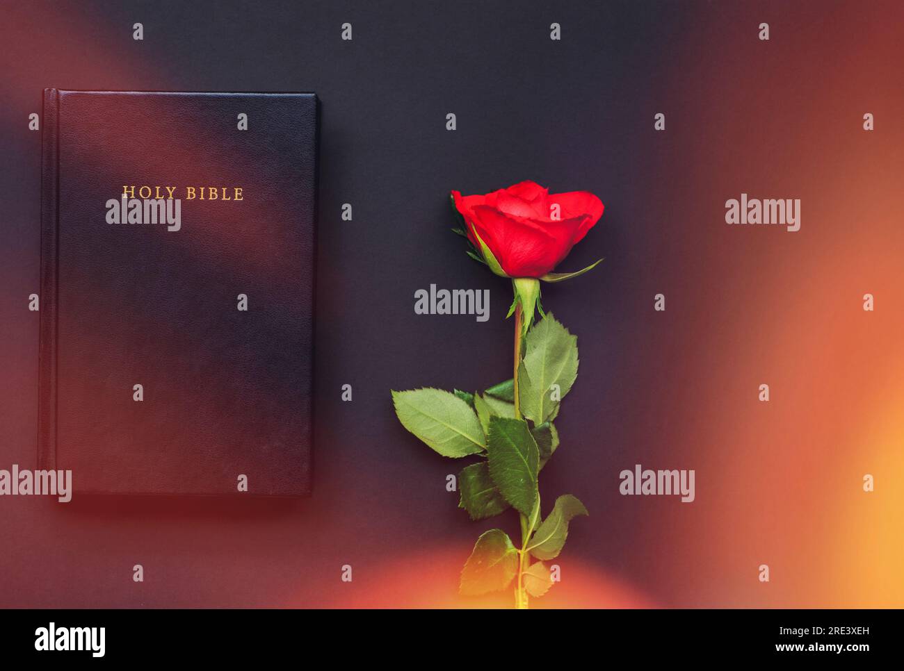 Holy Bible and red roses on the black and red background. Christian ...