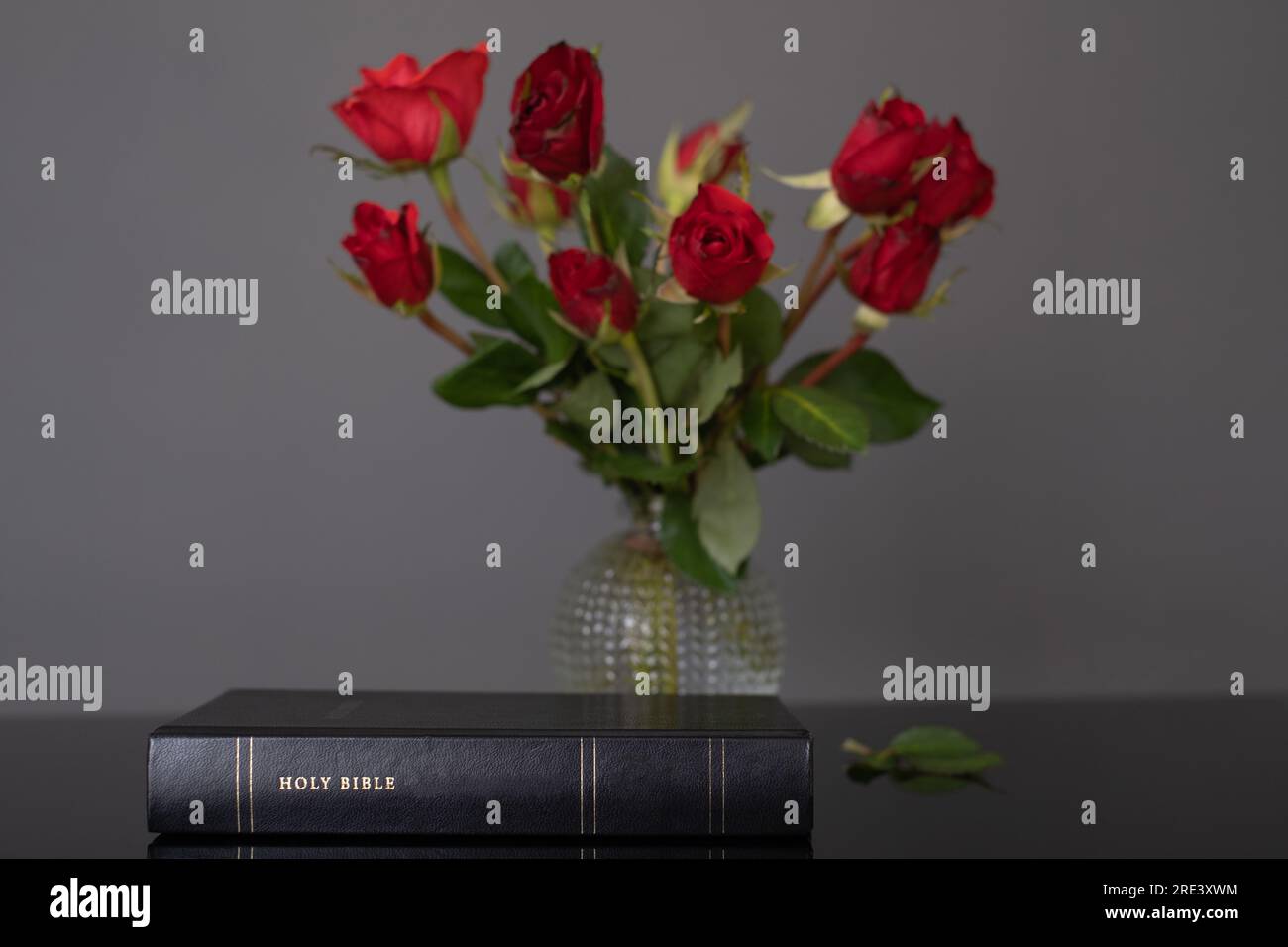 Holy Bible and red roses on the table. Christian concept, copy space ...