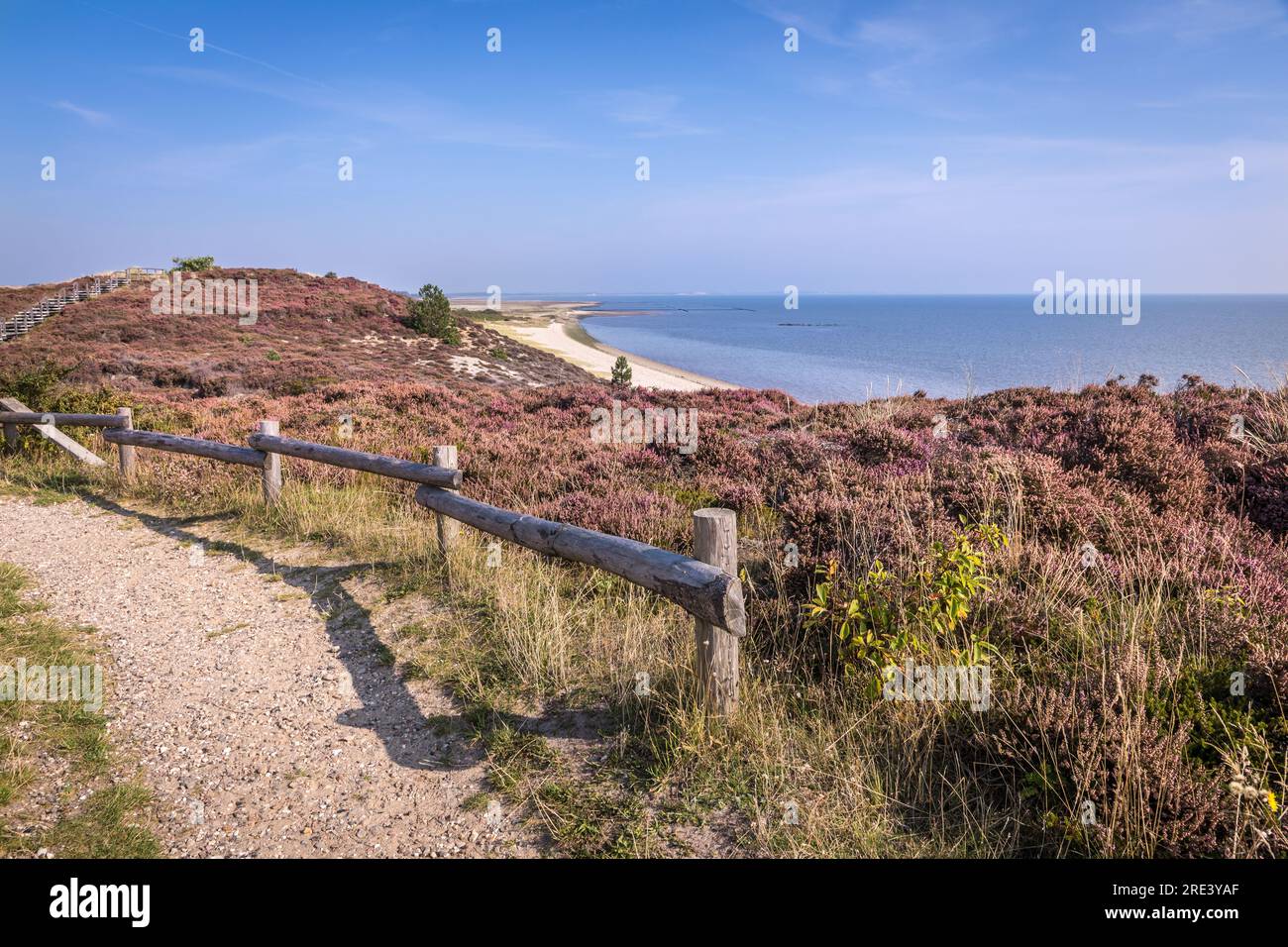 Braderup heath at white cliff hi-res stock photography and images - Alamy