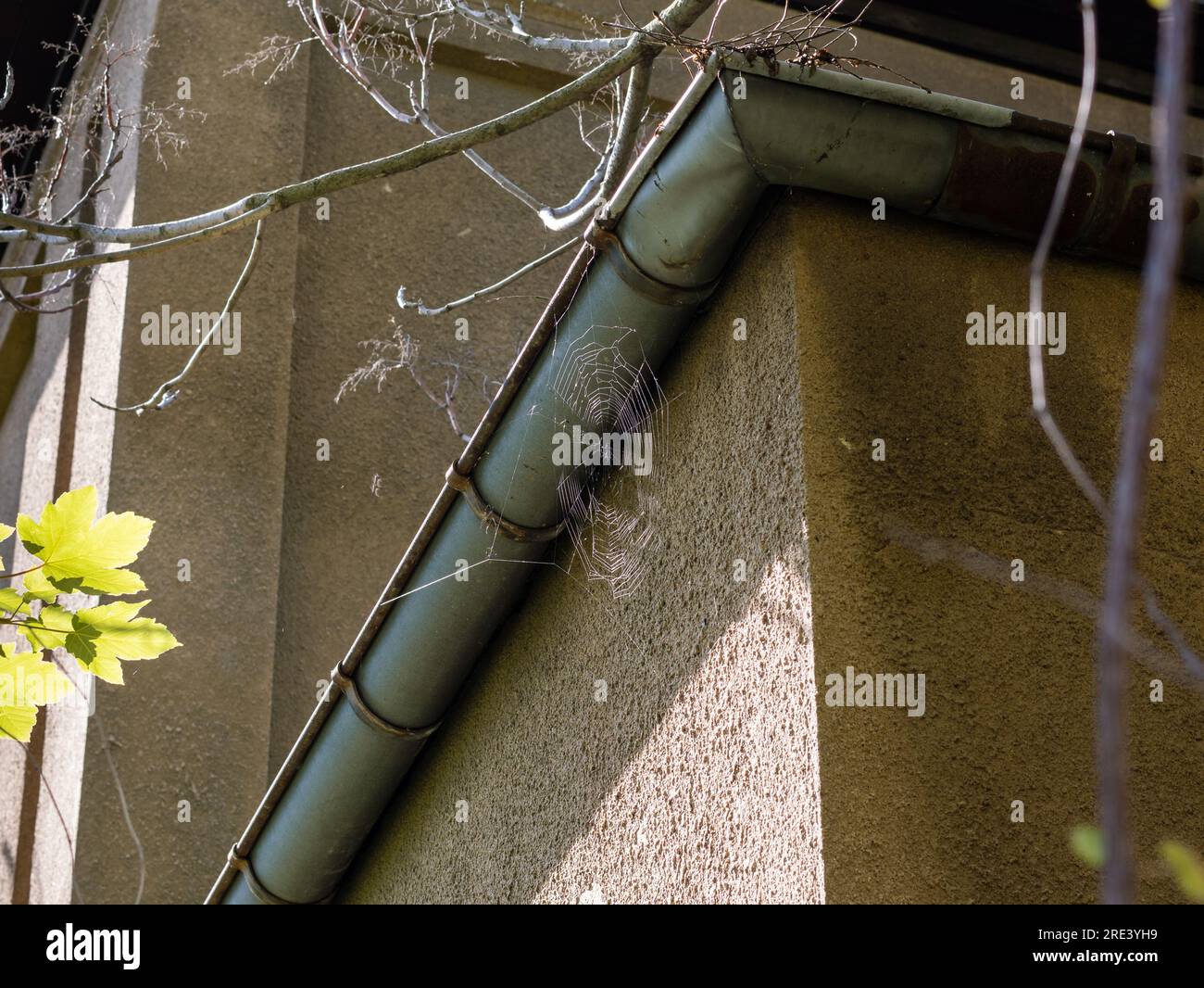 Spider web on house exterior hi-res stock photography and images - Alamy