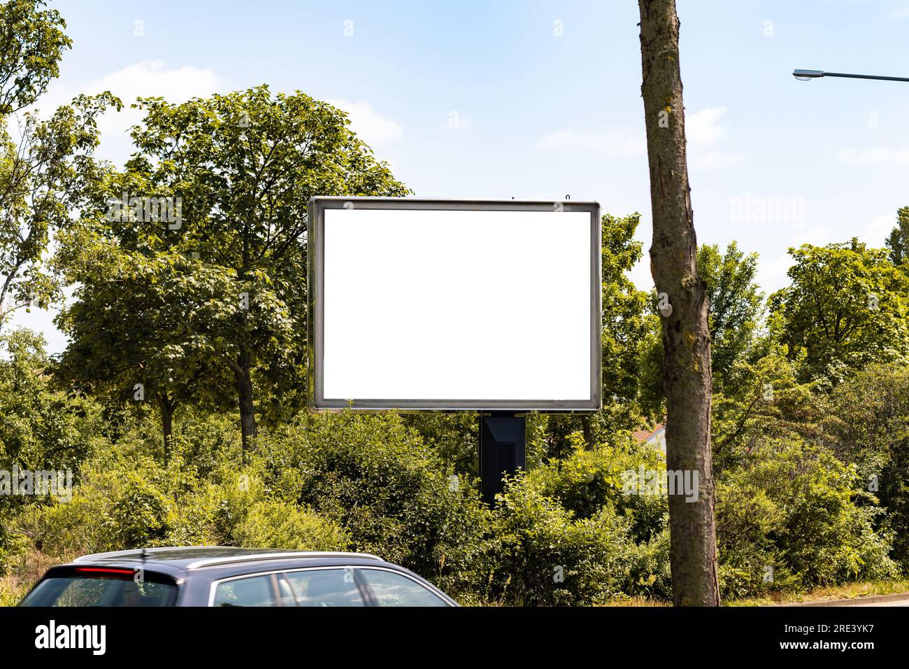 Blank billboard next to a street. Trees and bushes cover the background ...