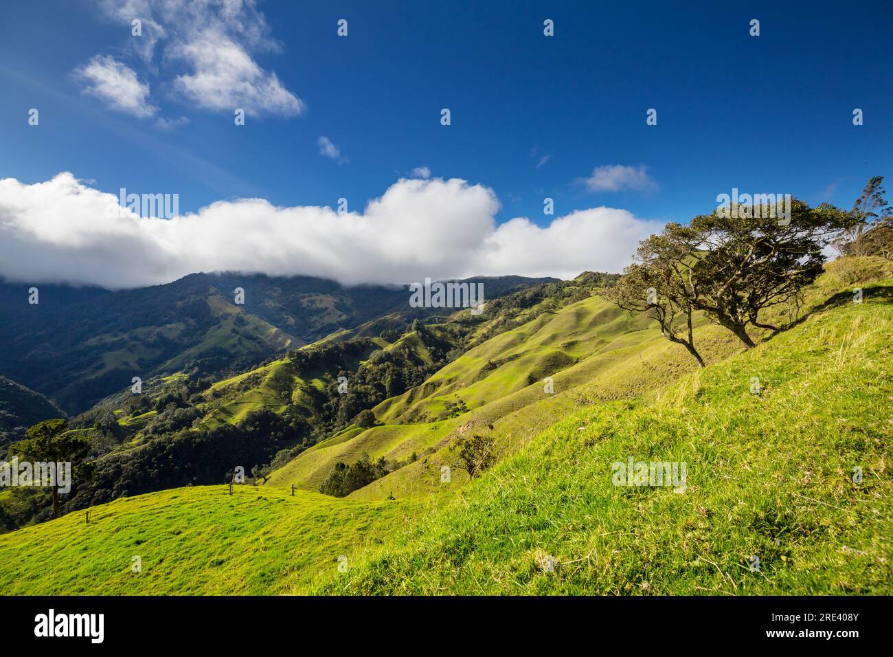 Rural landscapes in green colombian mountains Stock Photo - Alamy
