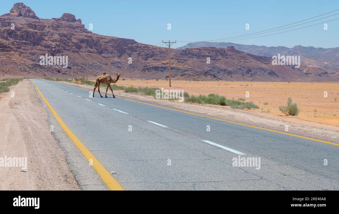 Jordan arabian desert hi-res stock photography and images - Alamy