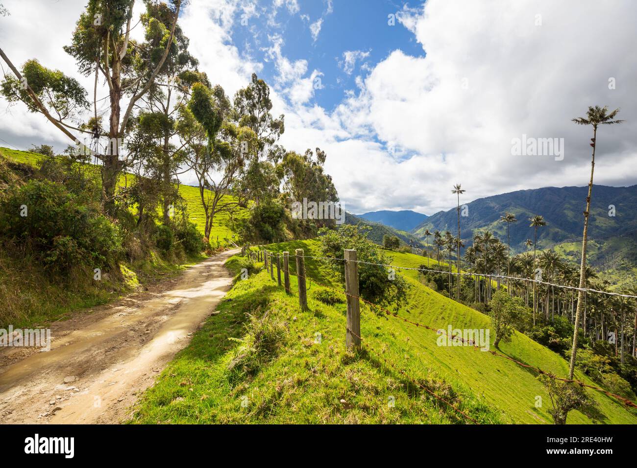 Rural road in the Colombia, South America Stock Photo - Alamy