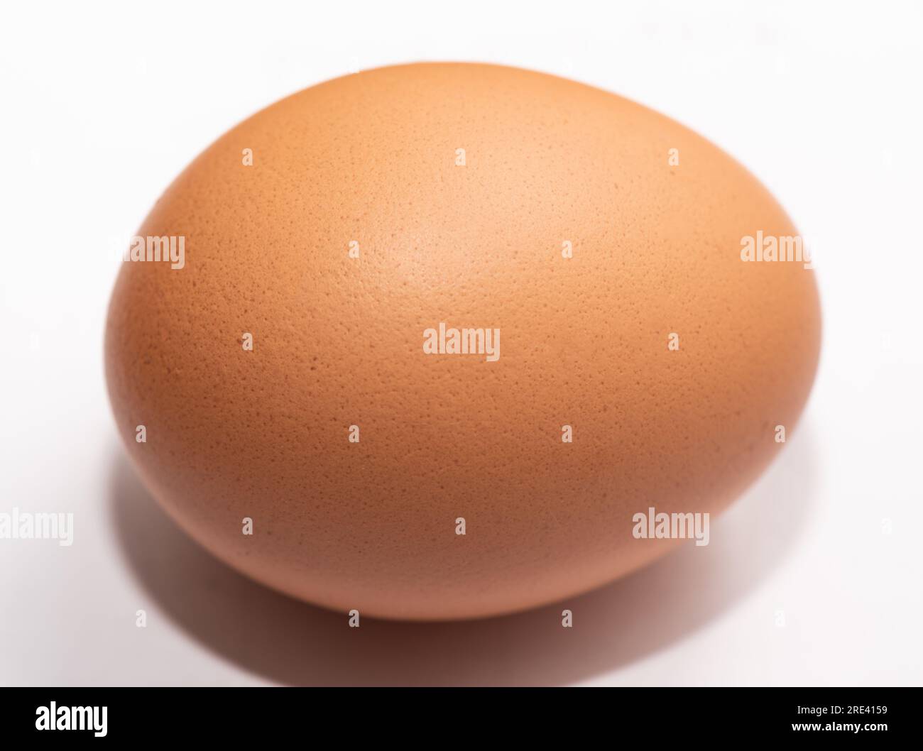 Single egg isolate with white background Stock Photo - Alamy